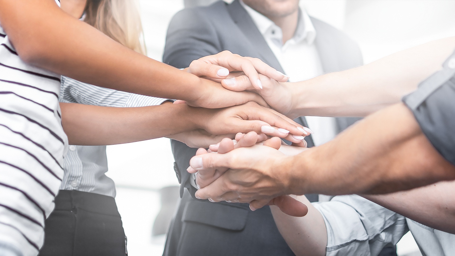 Partner Dialog - Karriere